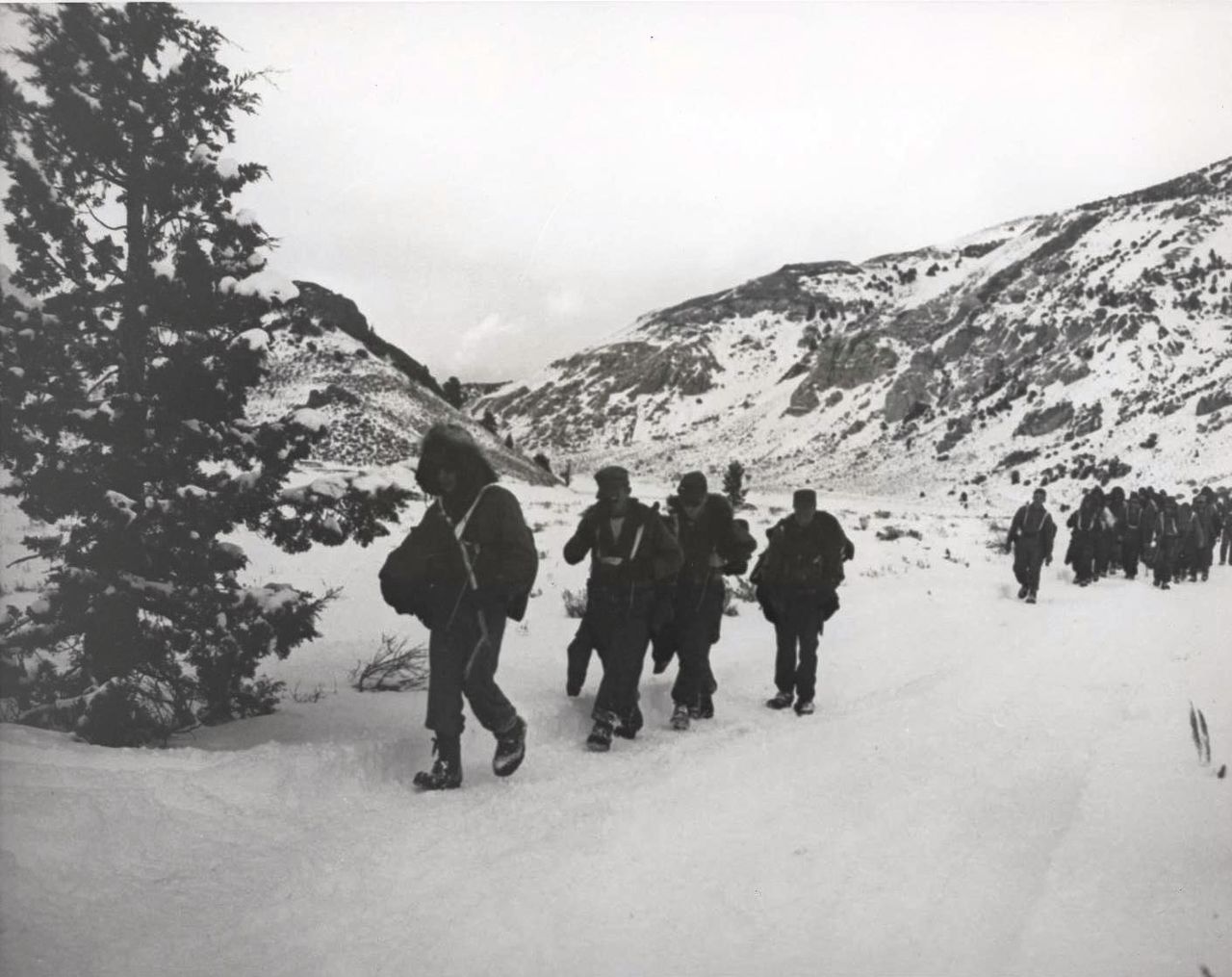 Protecting Your Firearms in Winter - The Gun Experiment